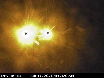 Webcams around Allison Pass - meteoblue