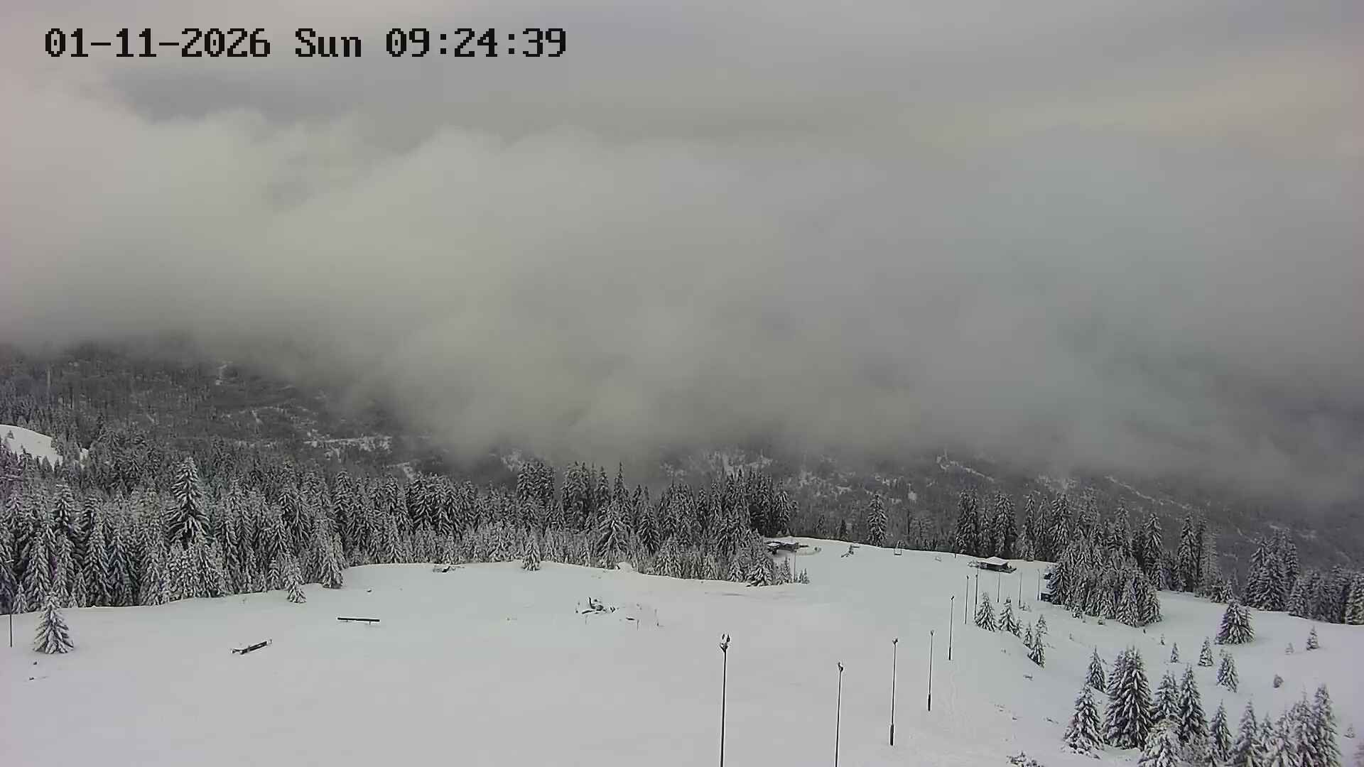 Web-kamere u okolici Văliug - meteoblue