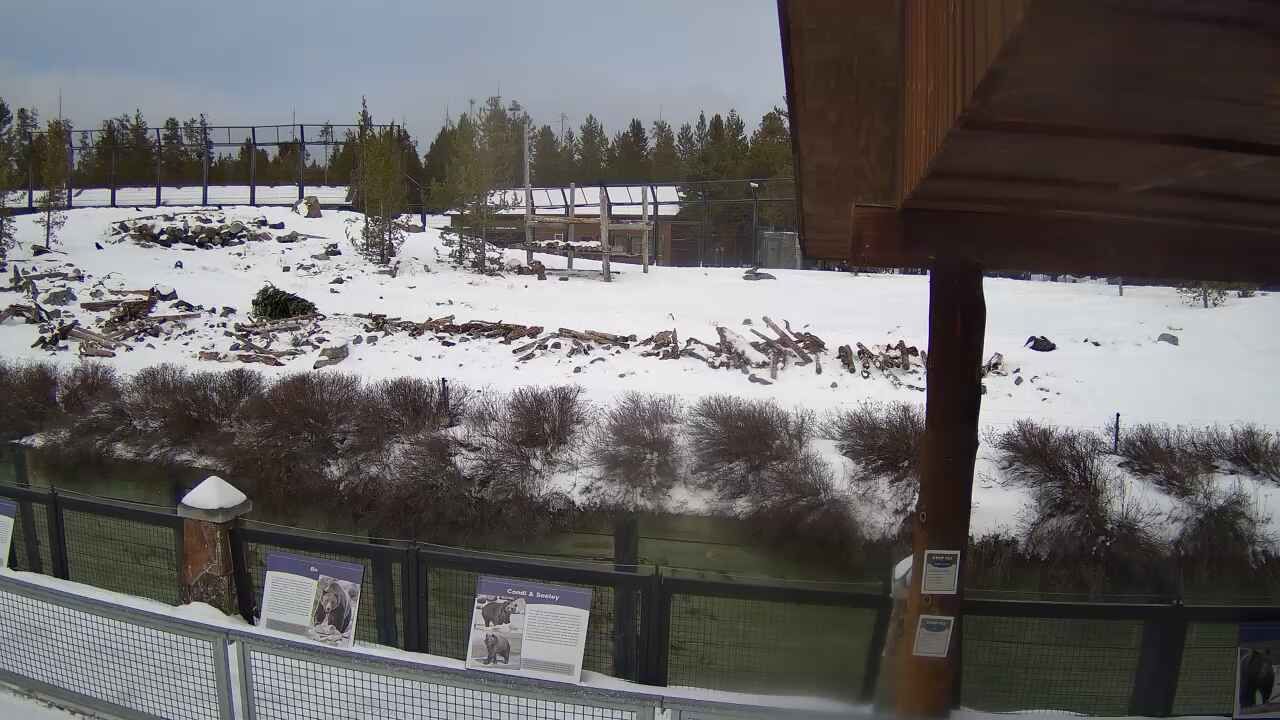 Webcams autour de West Yellowstone Town Park - meteoblue